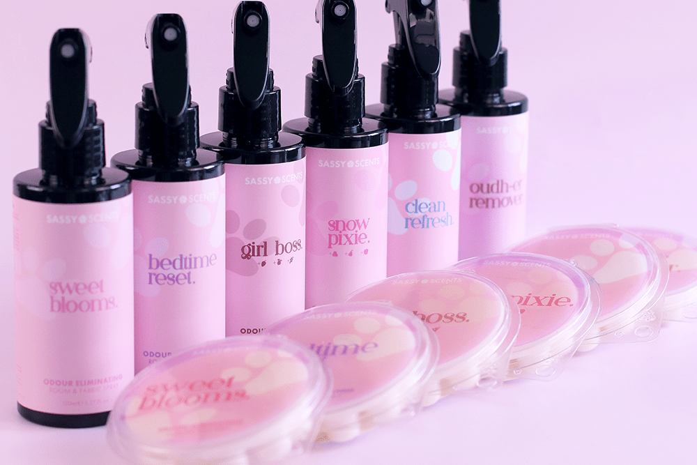 Sassy Shop Wax from Sassy Scents | Handcrafted Wax Melts & Body Care